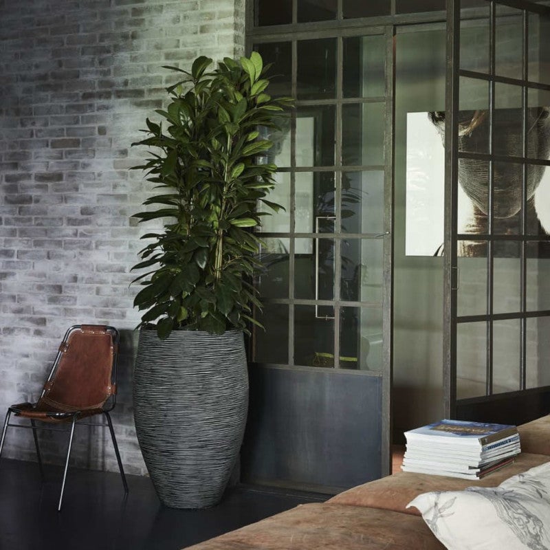 Capi Pot à fleurs Nature Rib élégant Deluxe 45x72 cm Anthracite | Leroy ...