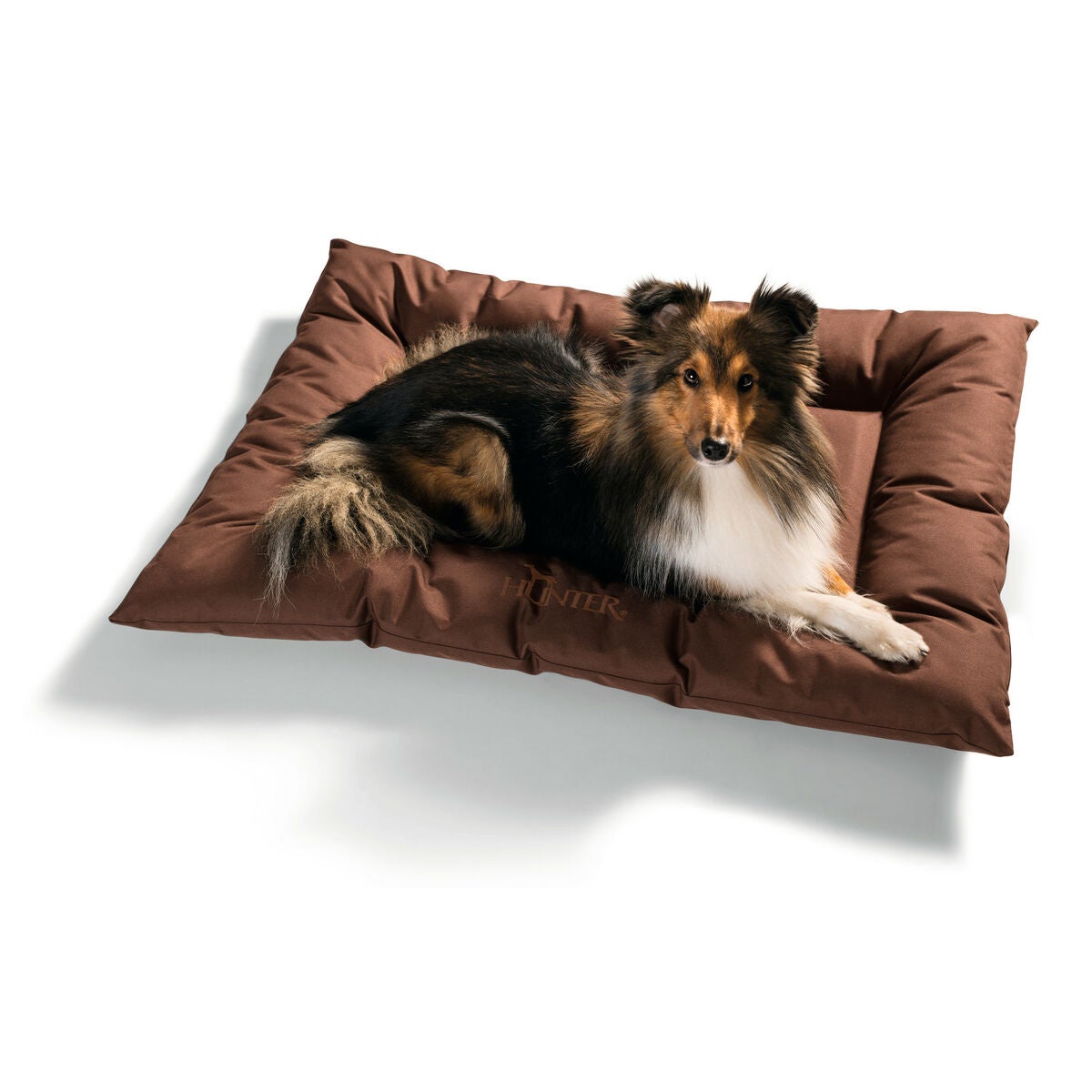 Lit pour chien Hunter Gent Antibactérien Marron 100x70 cm | Leroy Merlin
