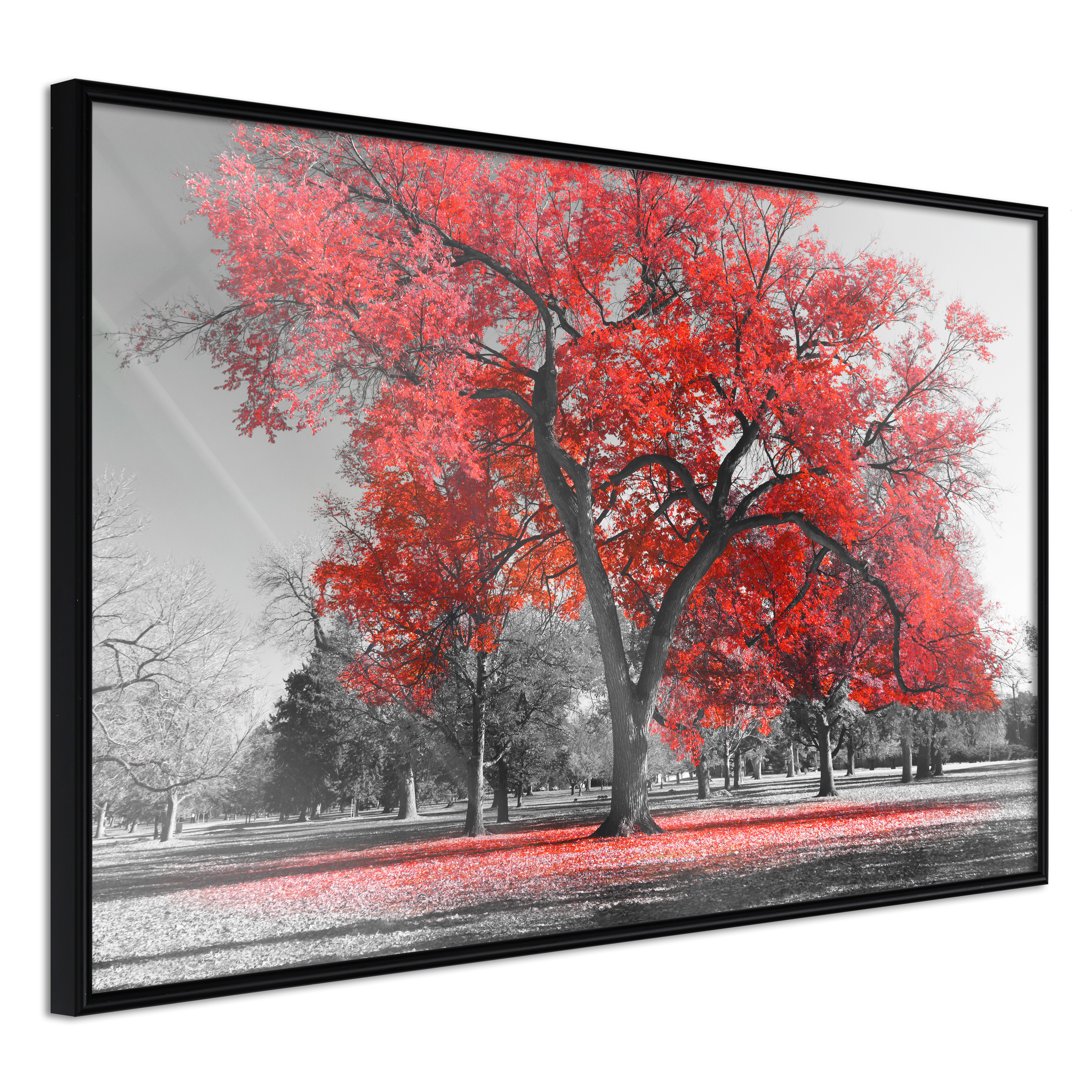 Poster et affiche - Red Tree - 30x20 | Leroy Merlin