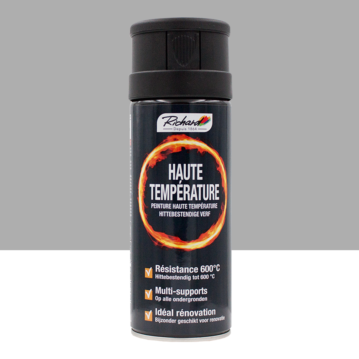 Bombe de peinture RICHARD Haute Température Gris | Leroy Merlin
