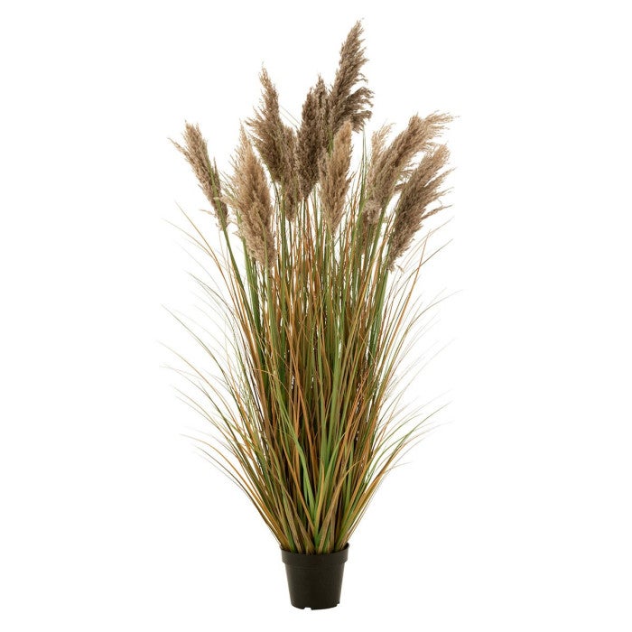 Paris Prix - Herbe De Pampas Artificielle En Pot "13 Têtes" 150cm Vert ...