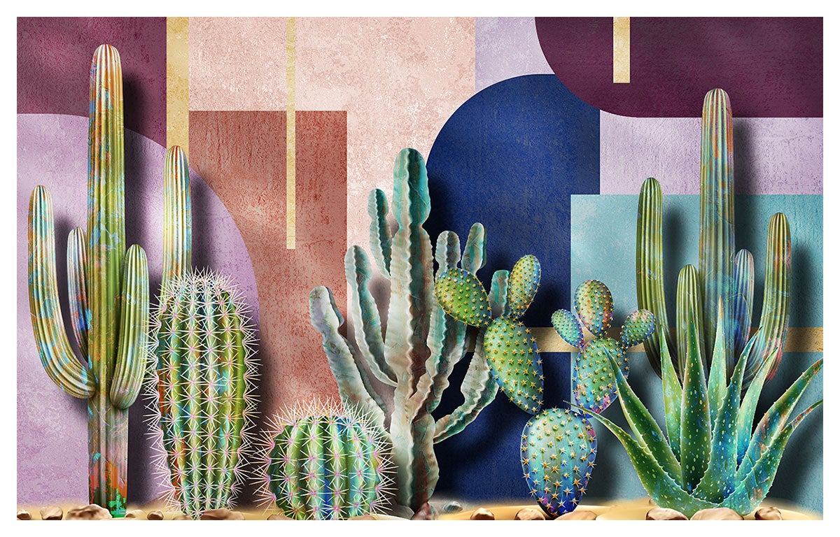Affiche cactus et cercles graphiques - 60x40cm - made in France | Leroy ...