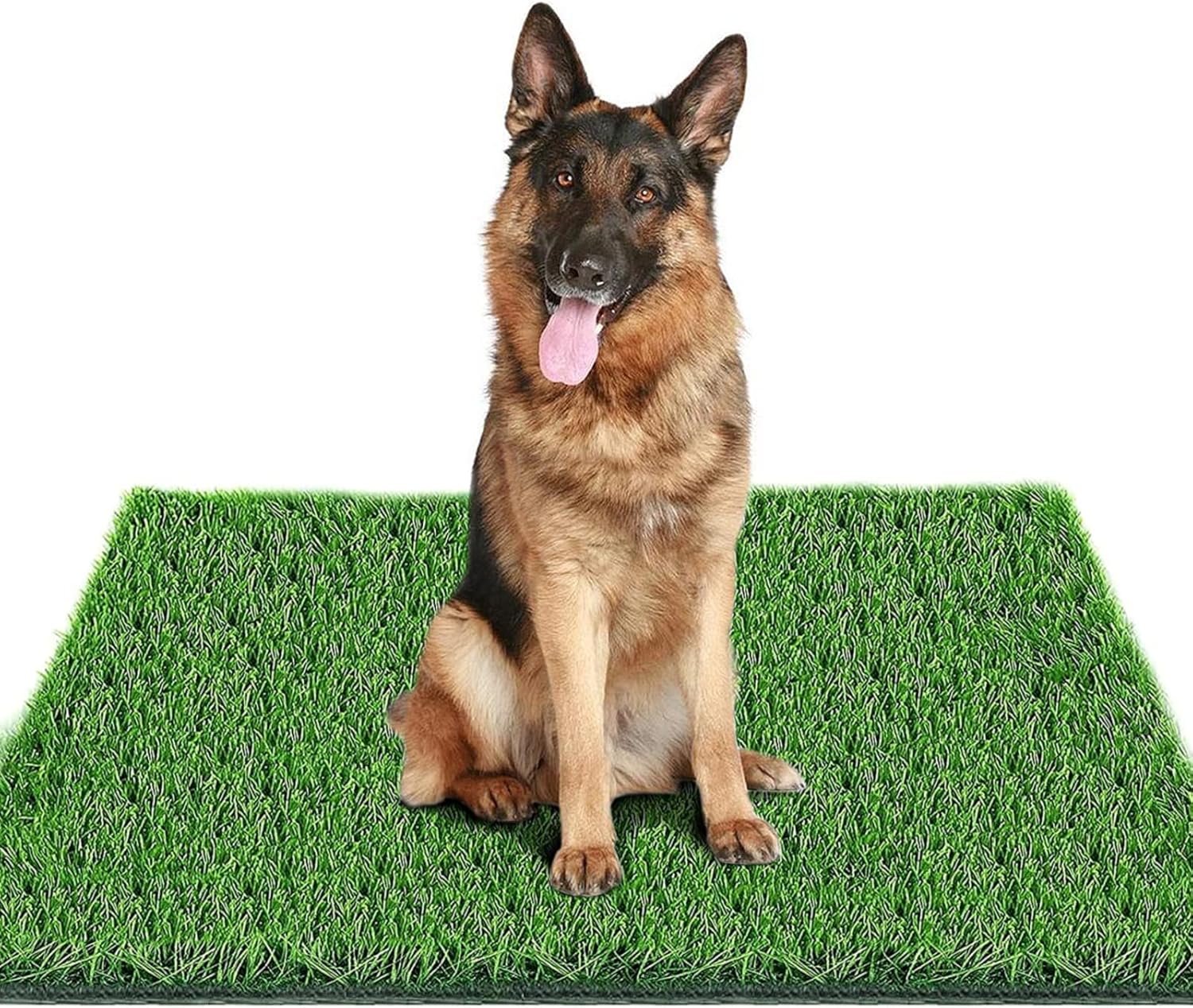 Gazon synthétique pour chien 80 x 100 cm - Tapis d'herbe pour chien ...