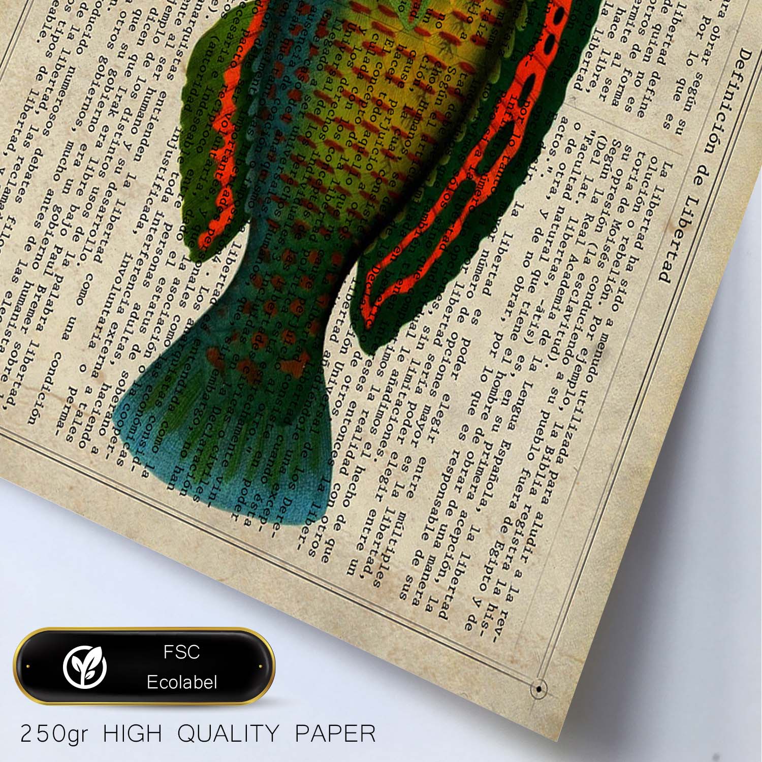 Poster De Peces Marinos. Lamina De Pez Loro Con Definicion. Diseño De ...