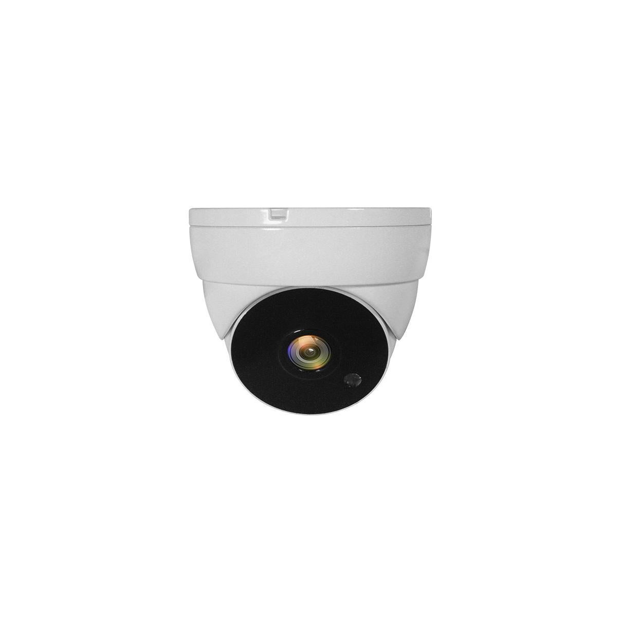 LevelOne ACS-5302 Caméra de sécurité CCTV Intérieure et extérieure Dome ...