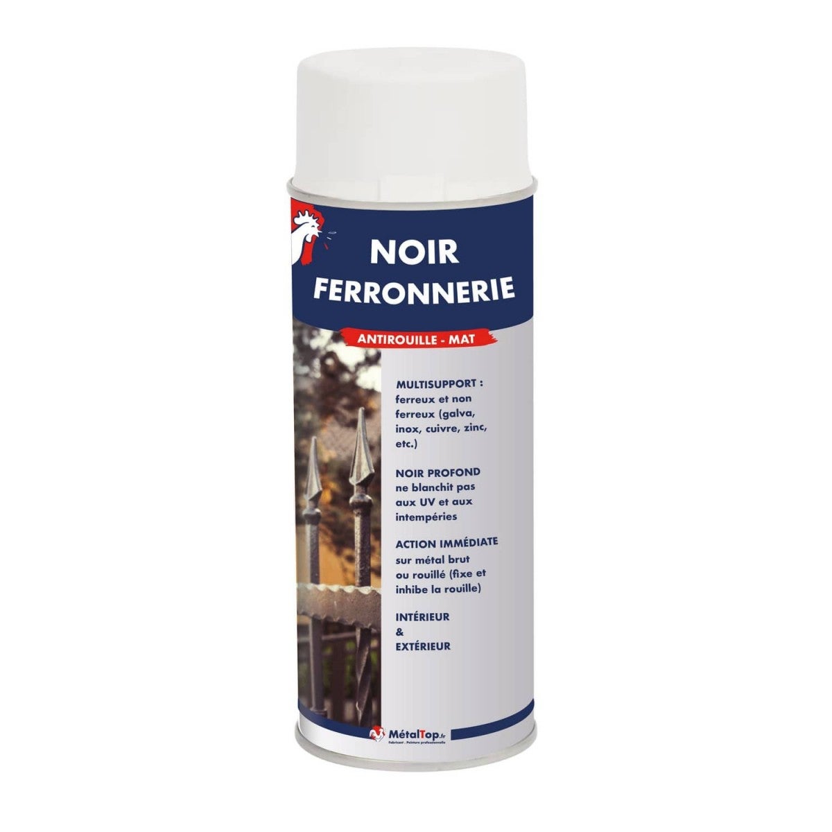 Bombe Peinture Ferronnerie