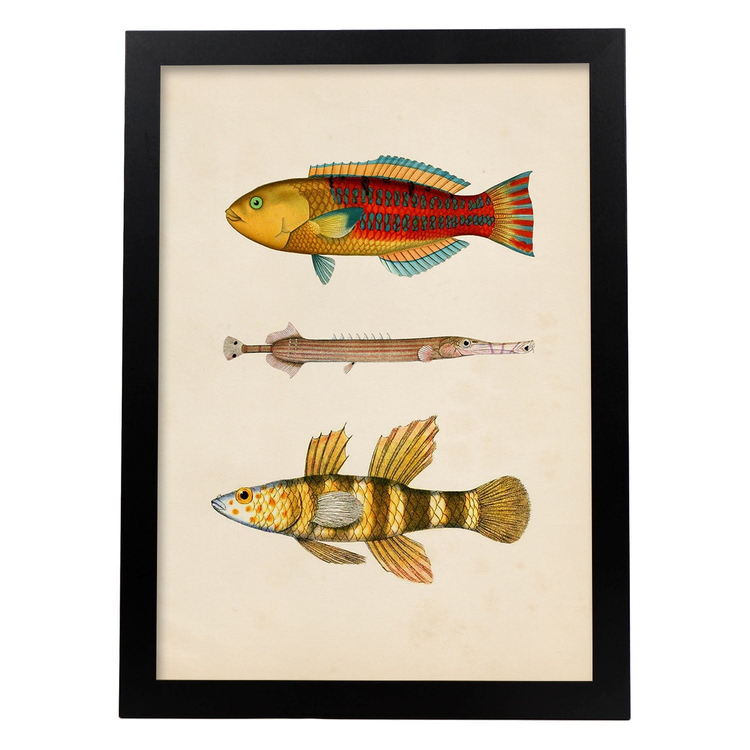 Lámina De Tres Peces Amarillos, Rojos Y Naranjas En , Fondo Papel ...