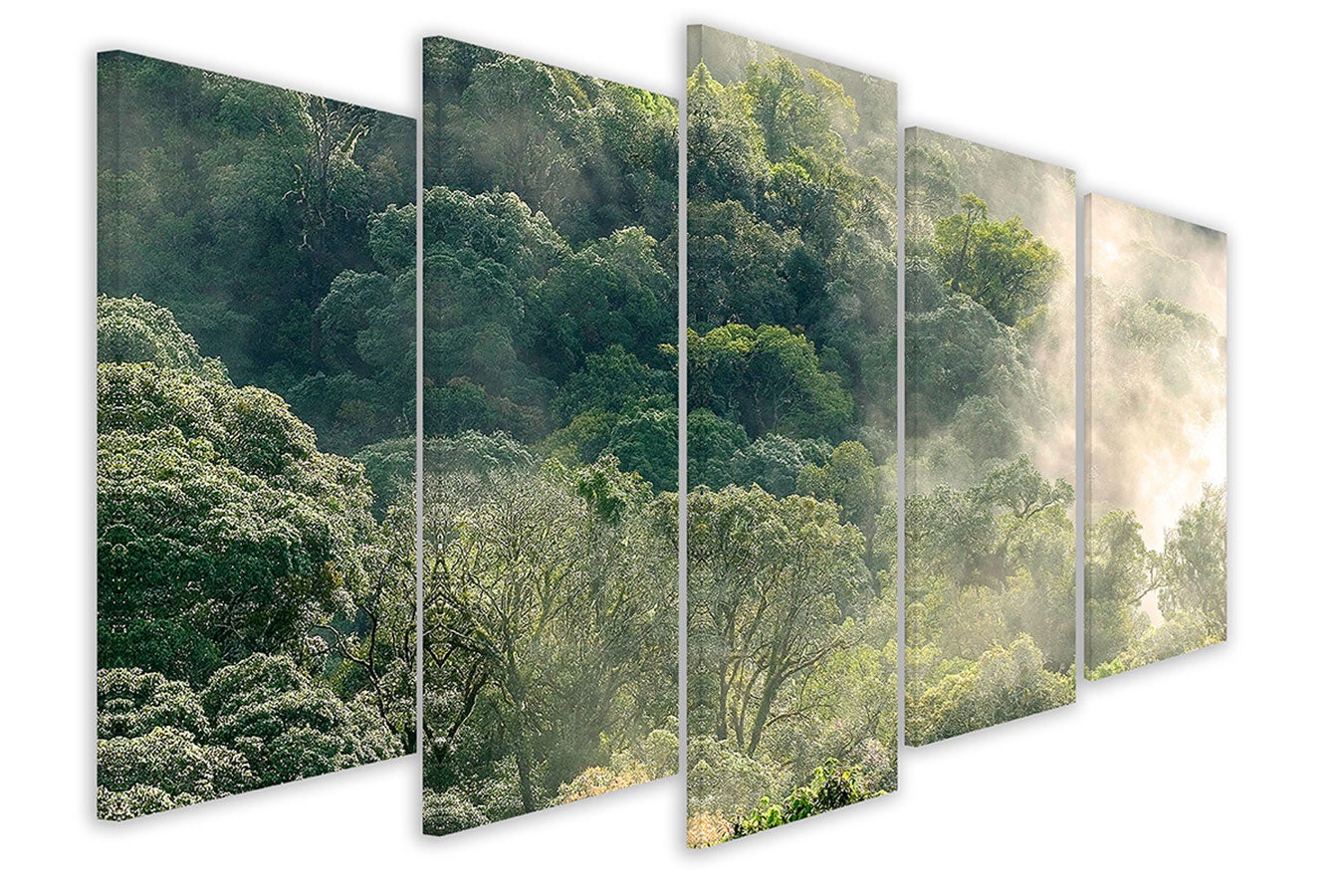 Tableau 5 parties paysage forêt dans la lumière matinale - 150x80 cm ...