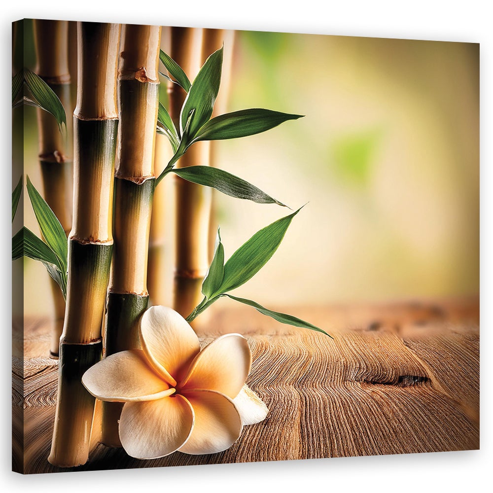 Tableau sur toile, Bambou Fleurs zen 30x30 | Leroy Merlin