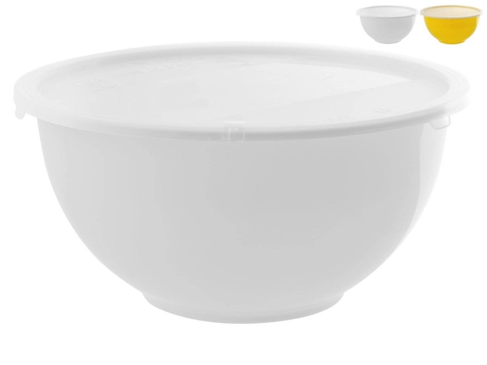 Set 2 Insalatiere Con Coperchio Cm29 Assortiti Home | Leroy Merlin