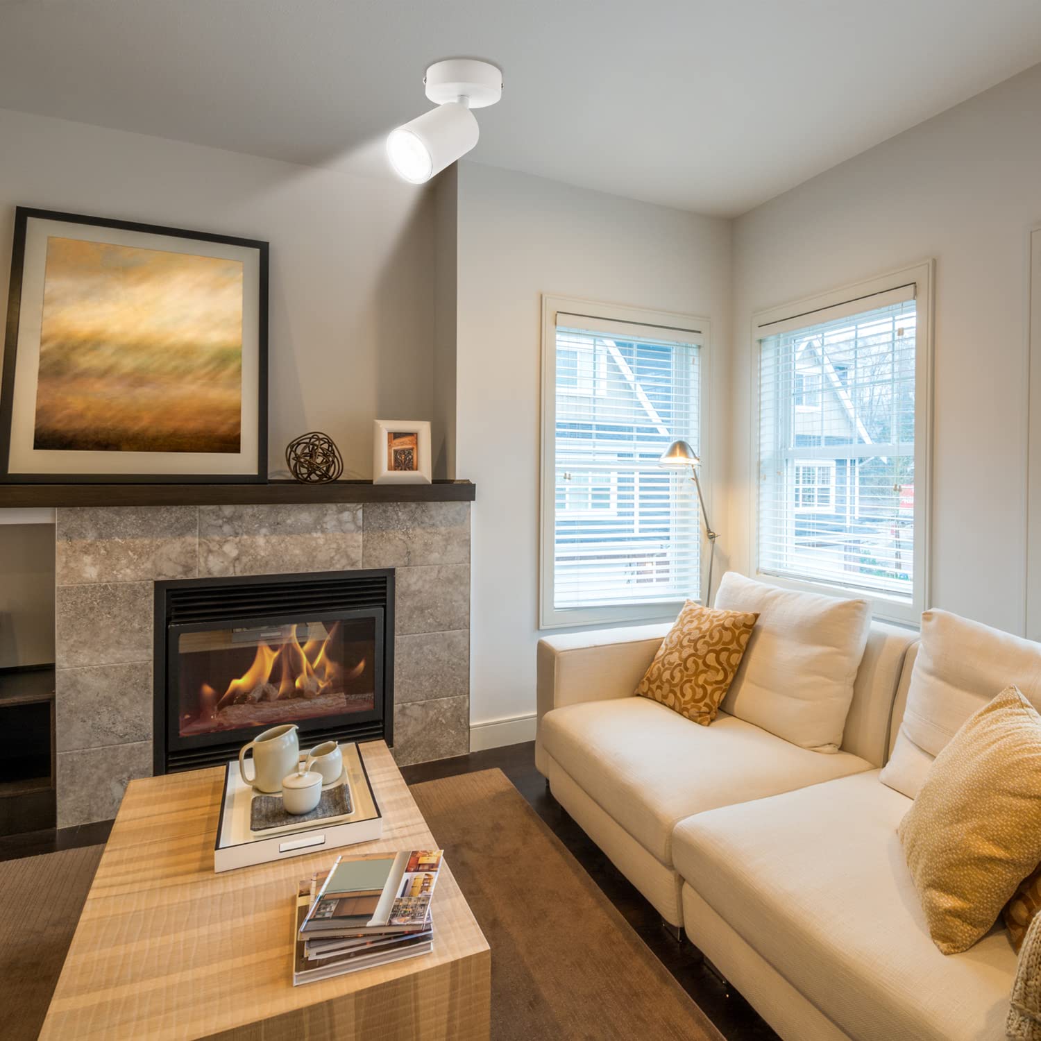 1 plafón LED, lámpara de techo con punto de pivote ajustable, aplique ...