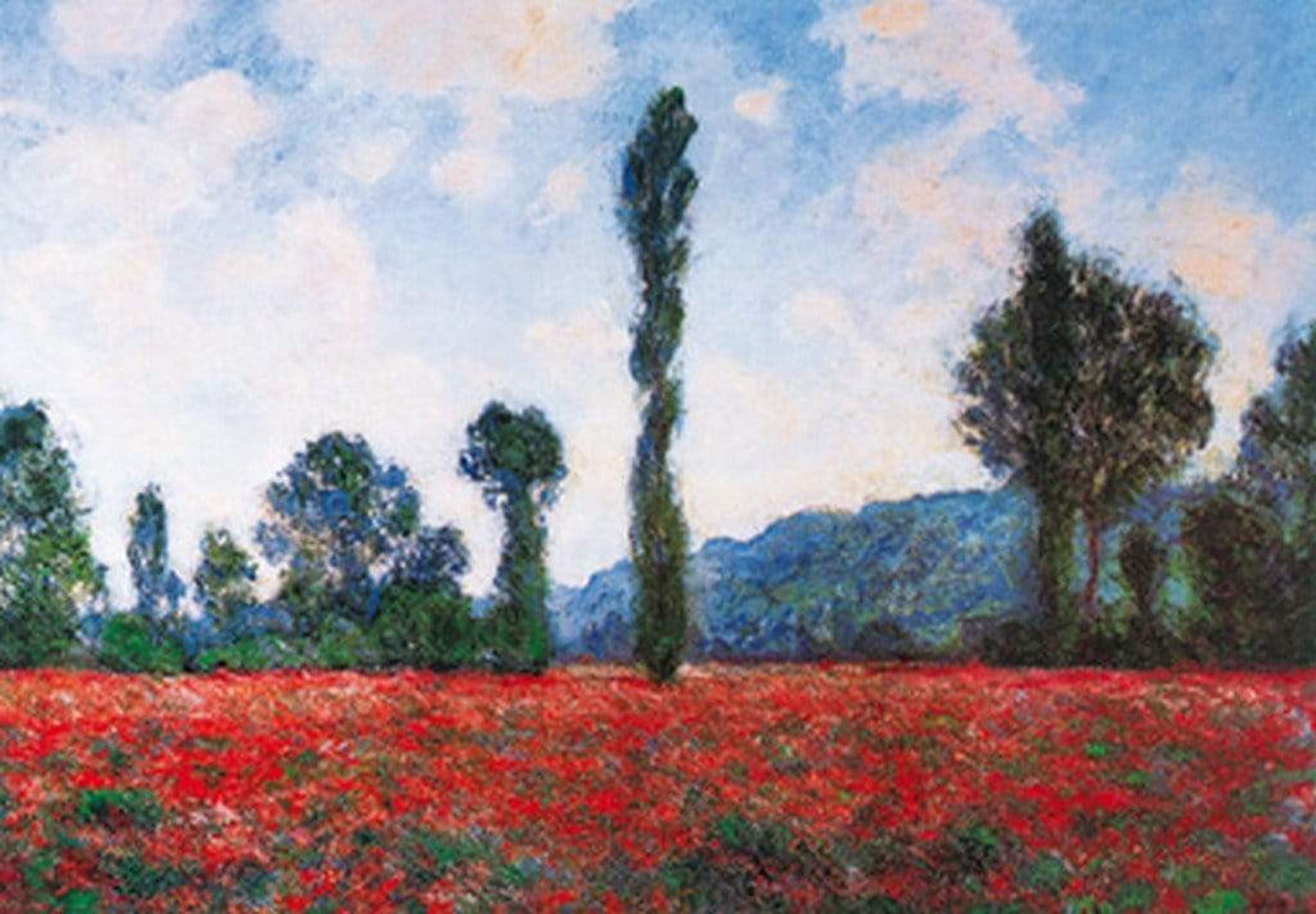 Affiche Art Claude Monet - Campo di papaveri 100x70cm | Leroy Merlin