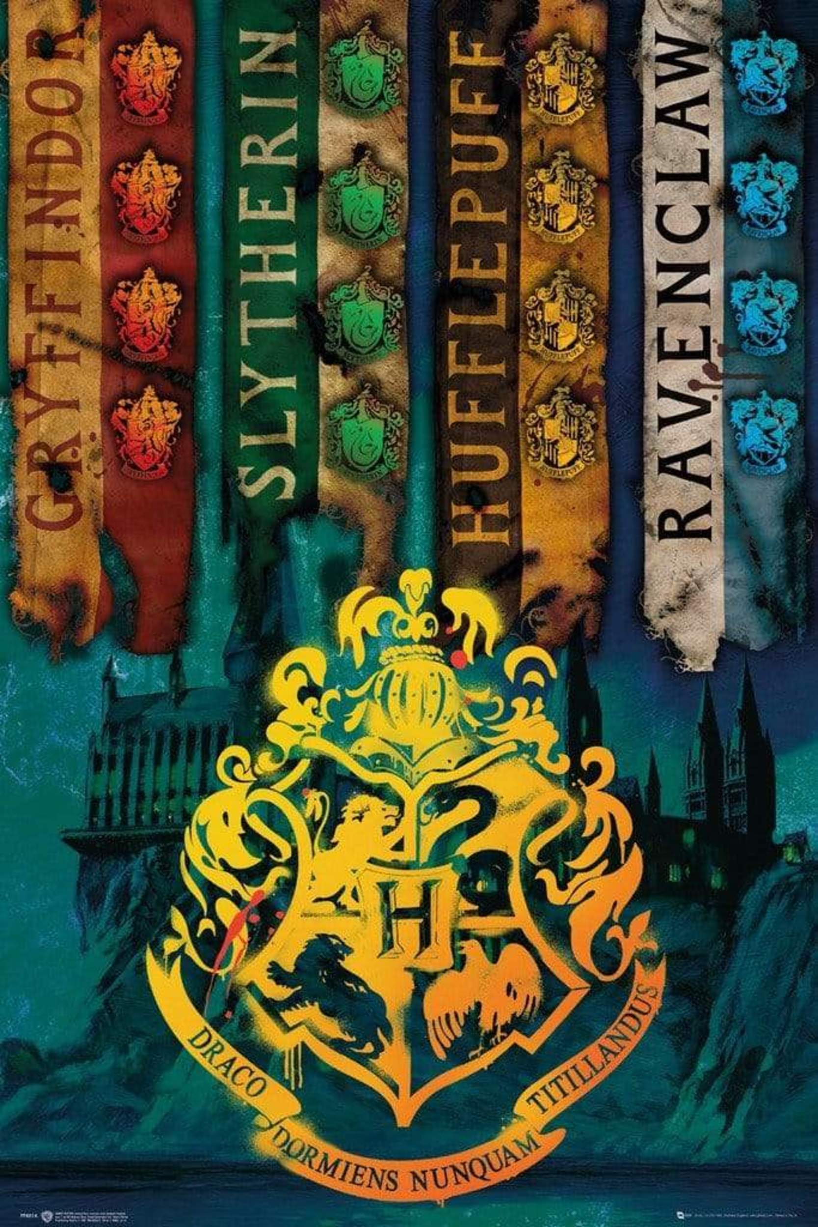 Poster Harry Potter - House Flags 61x91.5cm | Leroy Merlin