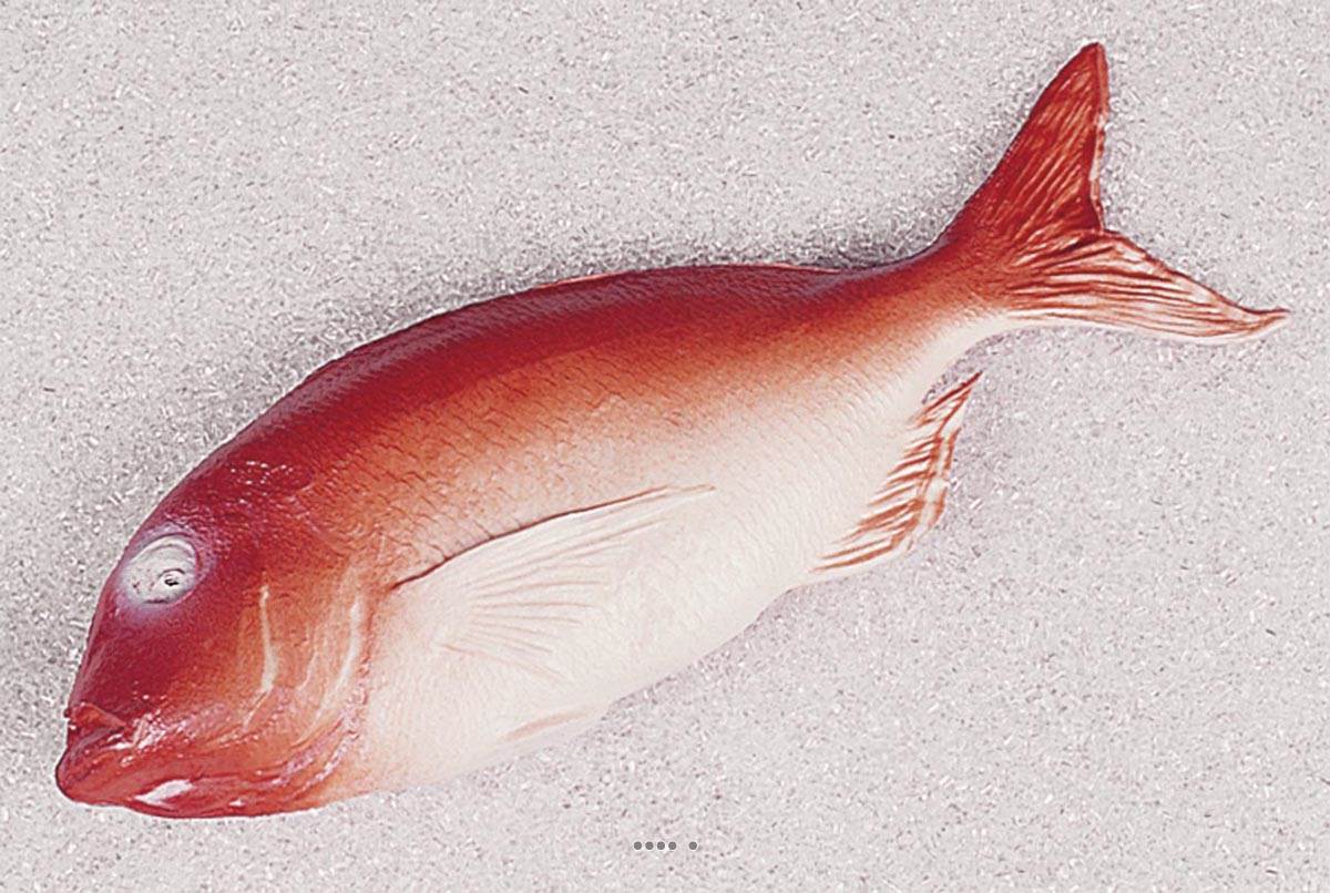 Daurade artificielle Rouge en Plastique soufflé L 360x130 mm | Leroy Merlin