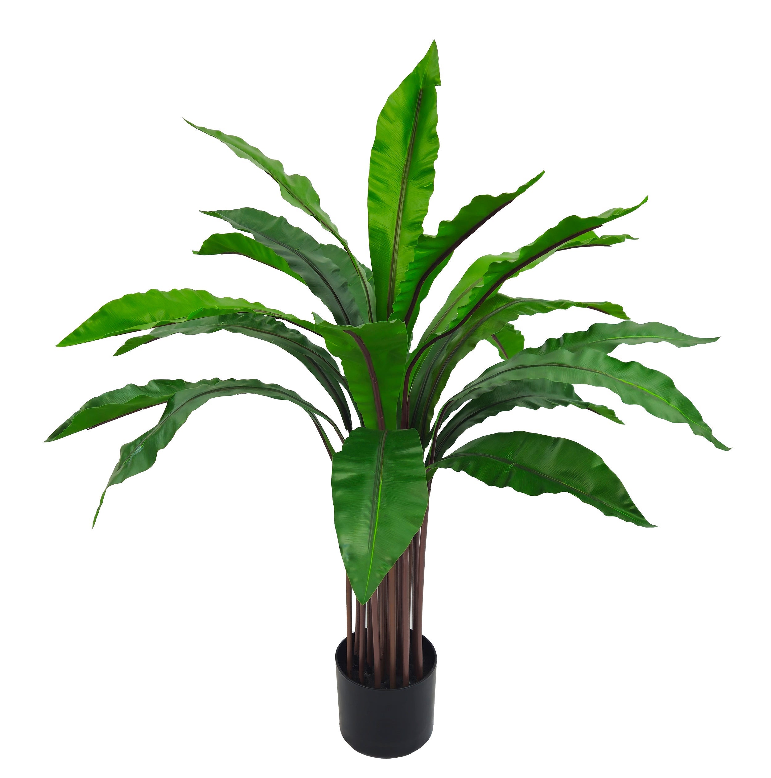 Plante artificielle Fougère Asplenium 80 cm | Leroy Merlin