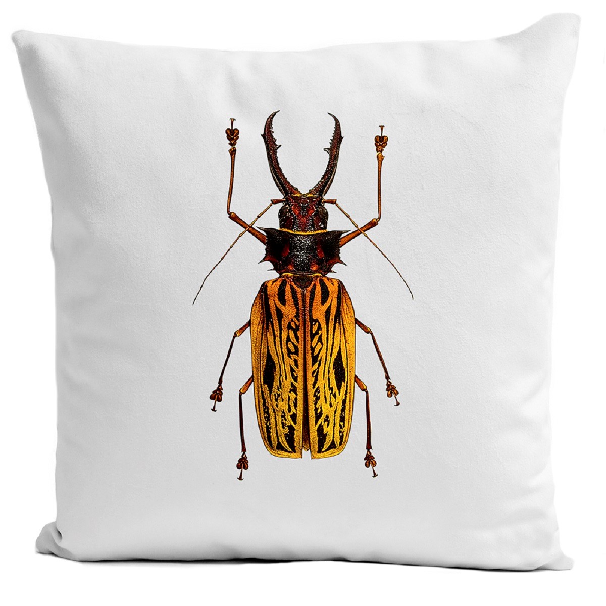 Coussin insecte, Insect VIII | Leroy Merlin