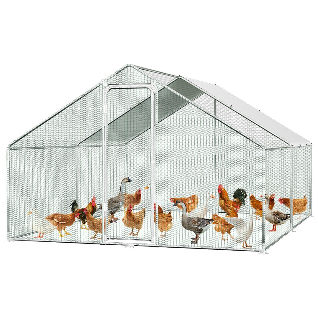 Poulailler 3×4×2 m – Enclos pour petits animaux, volière extérieure ...