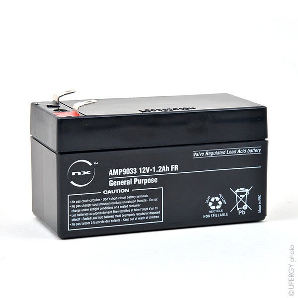 Batterie 12V Came 3199PNP1212 pour motorisation | Bricoman