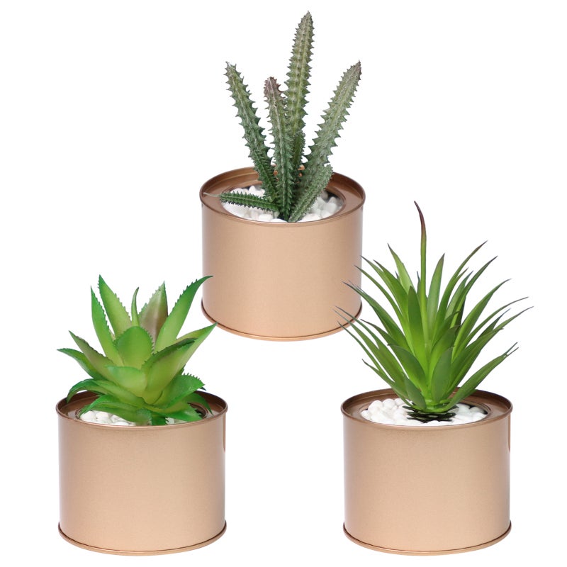 Plantes grasses artificielles, décoration pour la maison, la cuisine ...