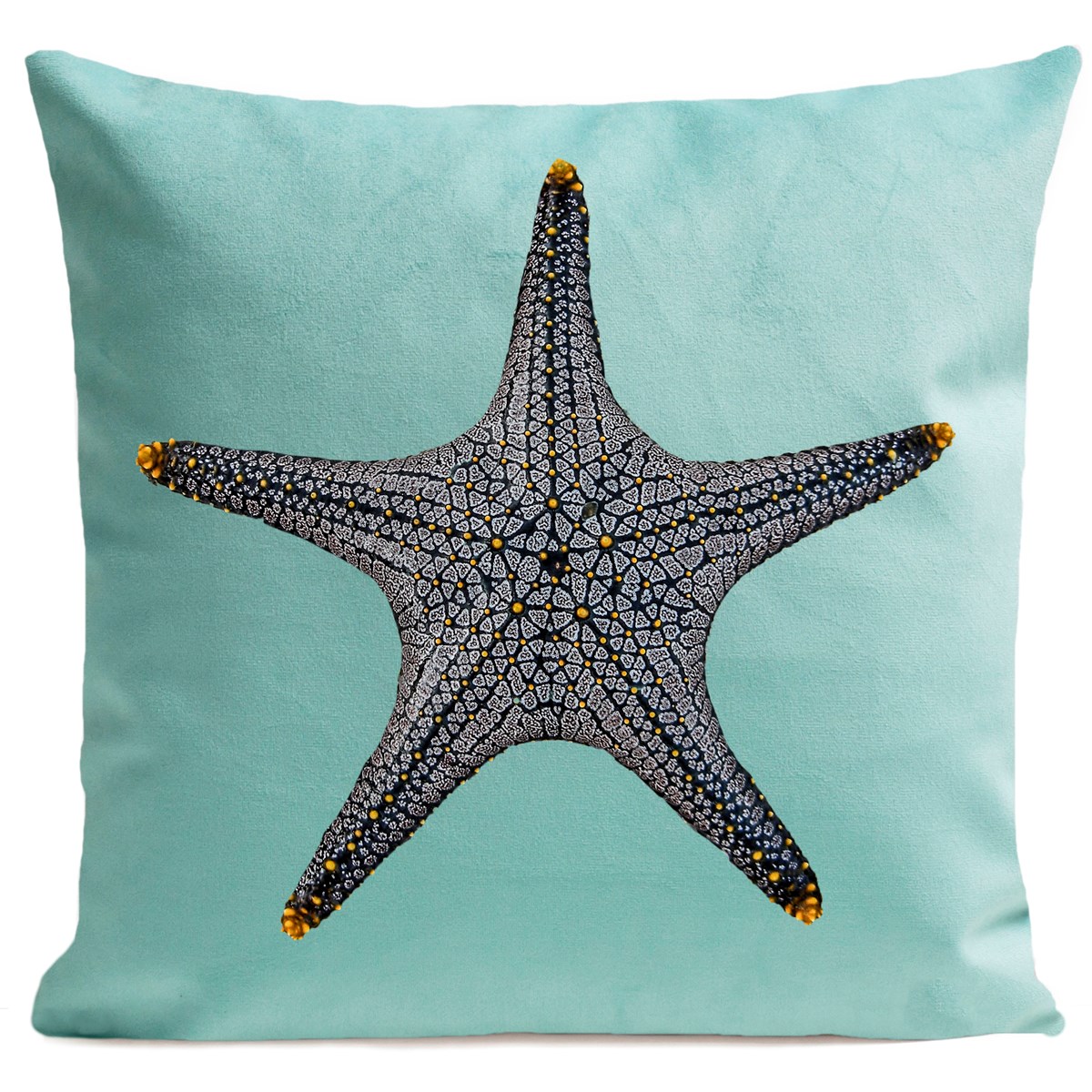 Coussin mer, Star Fish | Leroy Merlin