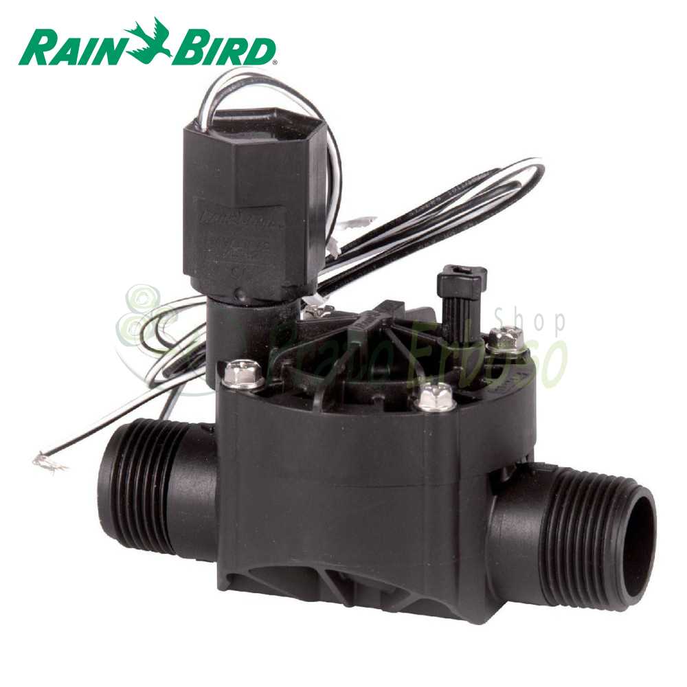 Rain Bird 100-HV-MM - Elettrovalvola da 1" | Leroy Merlin