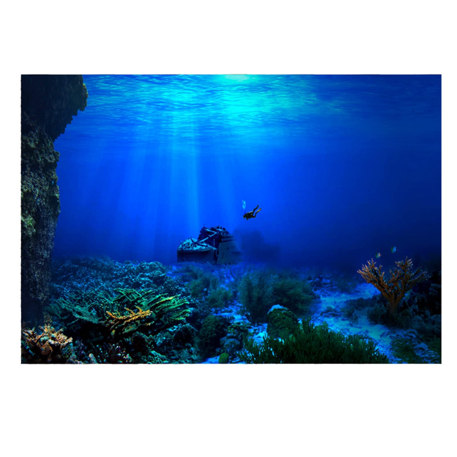 Fondo de acuario, imágenes de decoración de peceras con efecto 3D ...