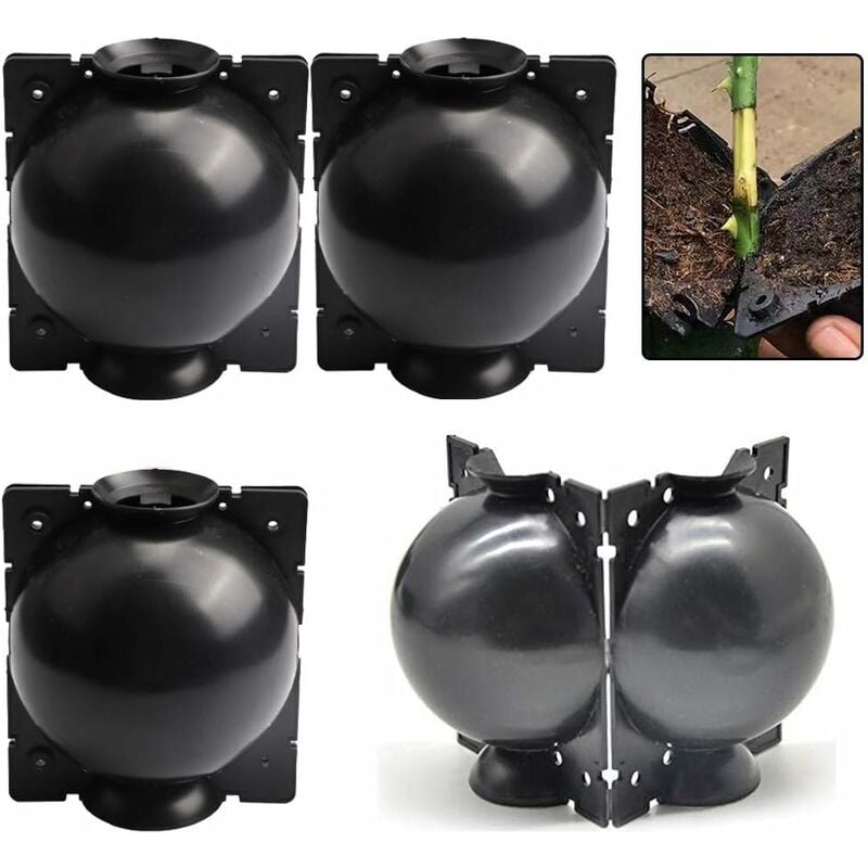 Boîte de greffage de plantes 4 pièces-petite, dispositif d'enracinement ...
