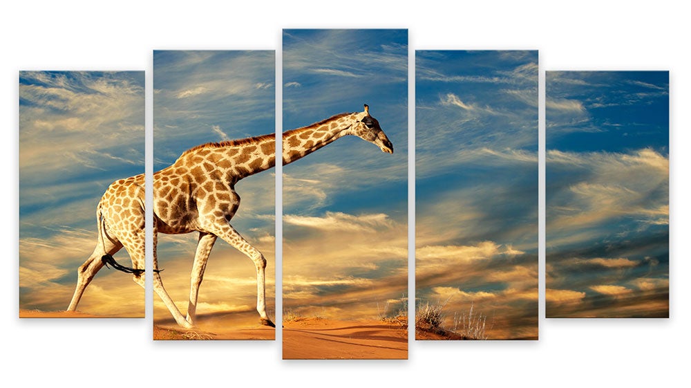 Tableau 5 parties Tableau photo girafe dans le sable - 150x80 cm ...