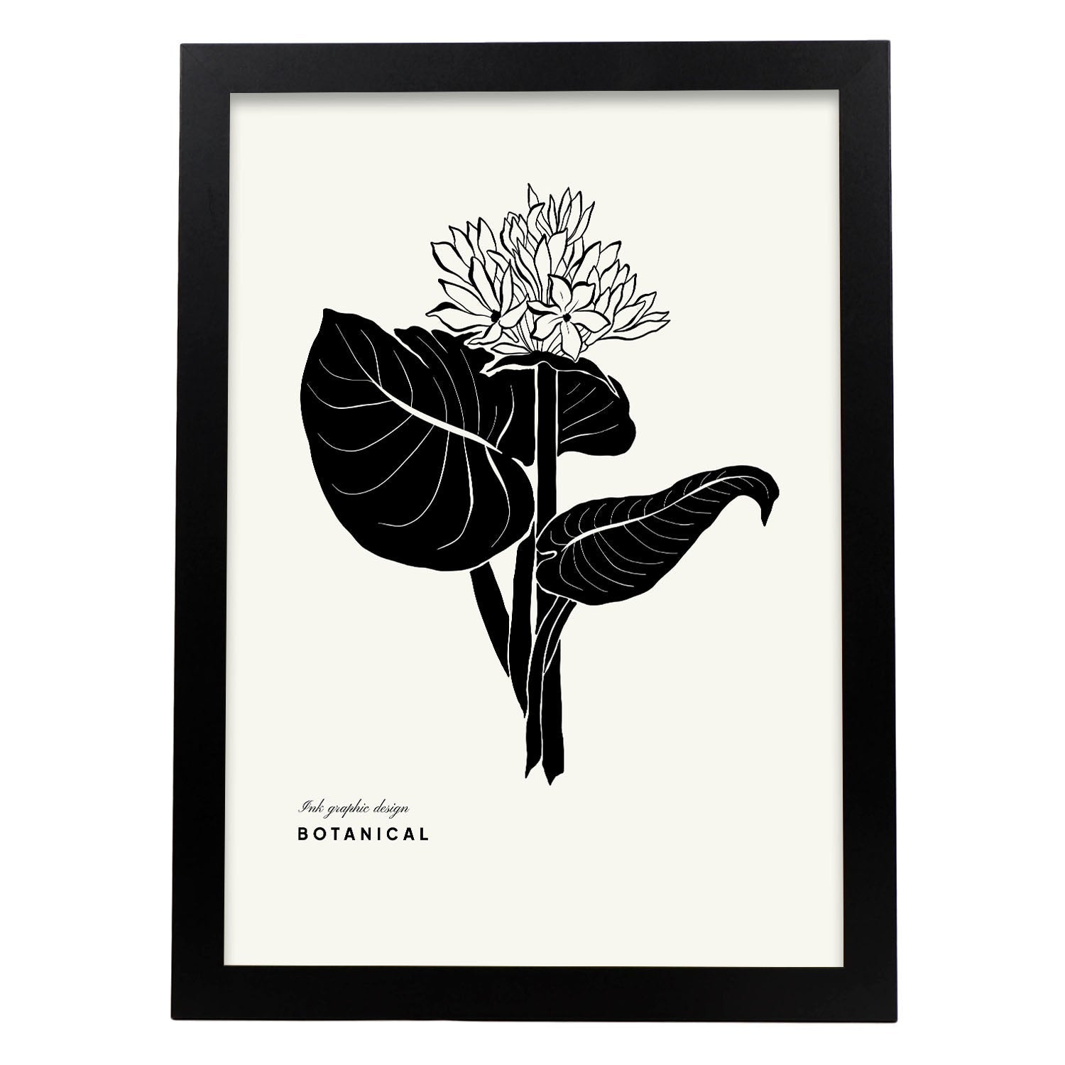 Nacnic Affiche Avec Des Fleurs Et Des Plantes En Noir Et Blanc. Flox ...