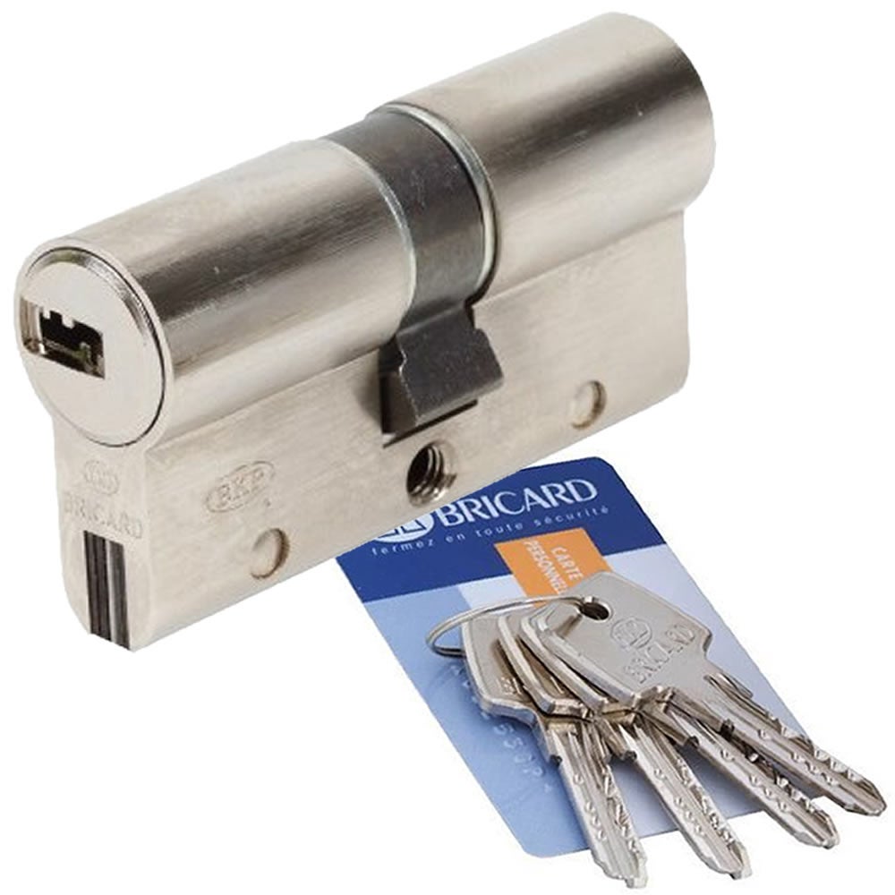 Cylindre Mistral S Bricard 30 + 30 mm Barillet haute sécurité | Leroy ...