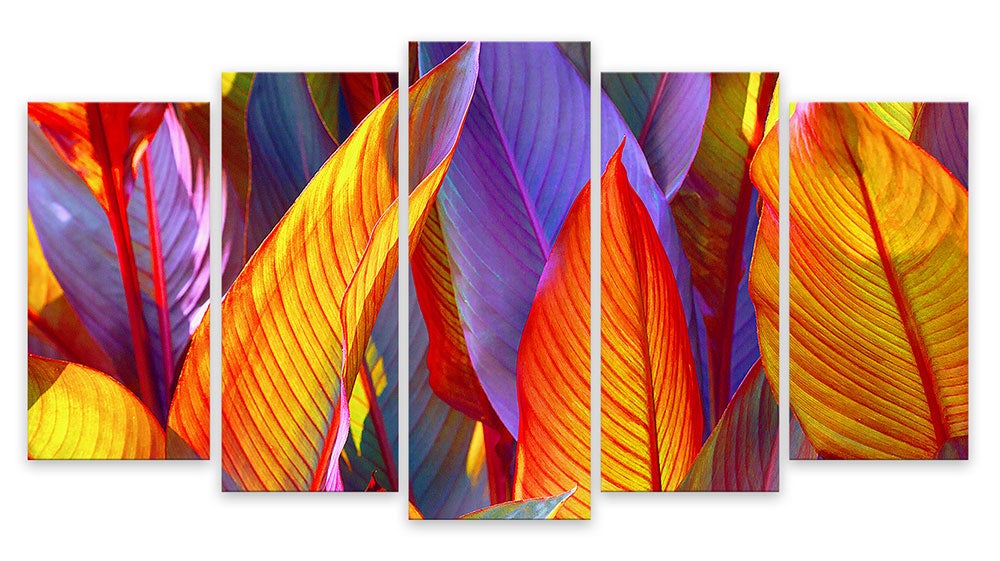 Tableau 5 parties fleurs feuillage orangée - 150x80 cm | Leroy Merlin