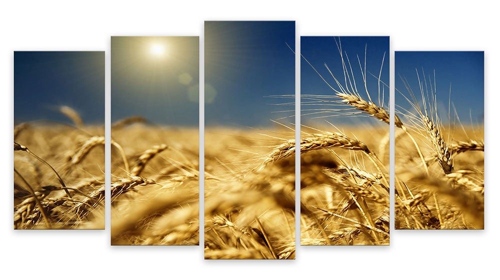 Tableau 5 parties deco champs de blé couchant - 150x80 cm | Leroy Merlin