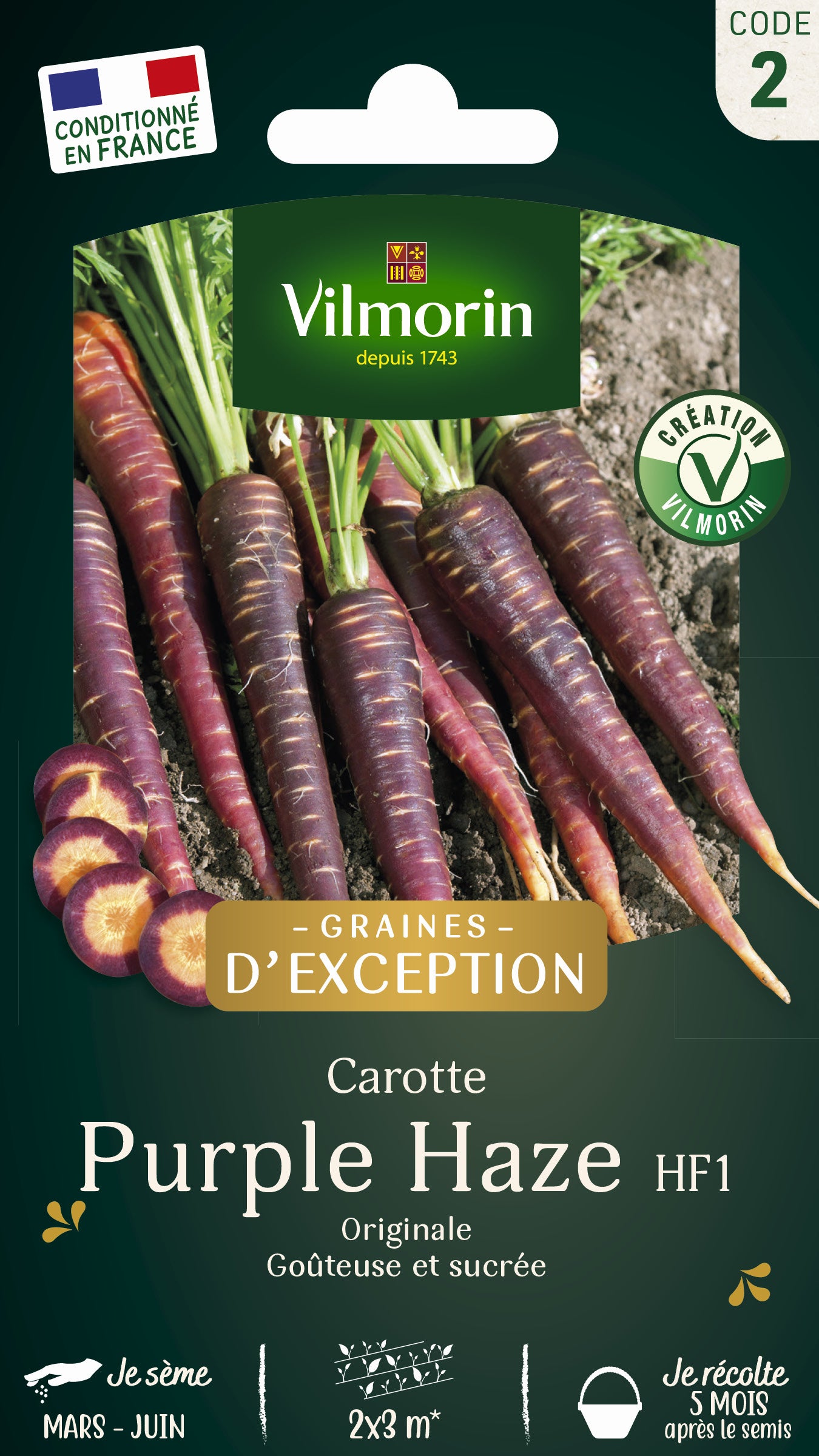 Carotte Violette Purple Haze HF1 - Graines d'Exception | Leroy Merlin