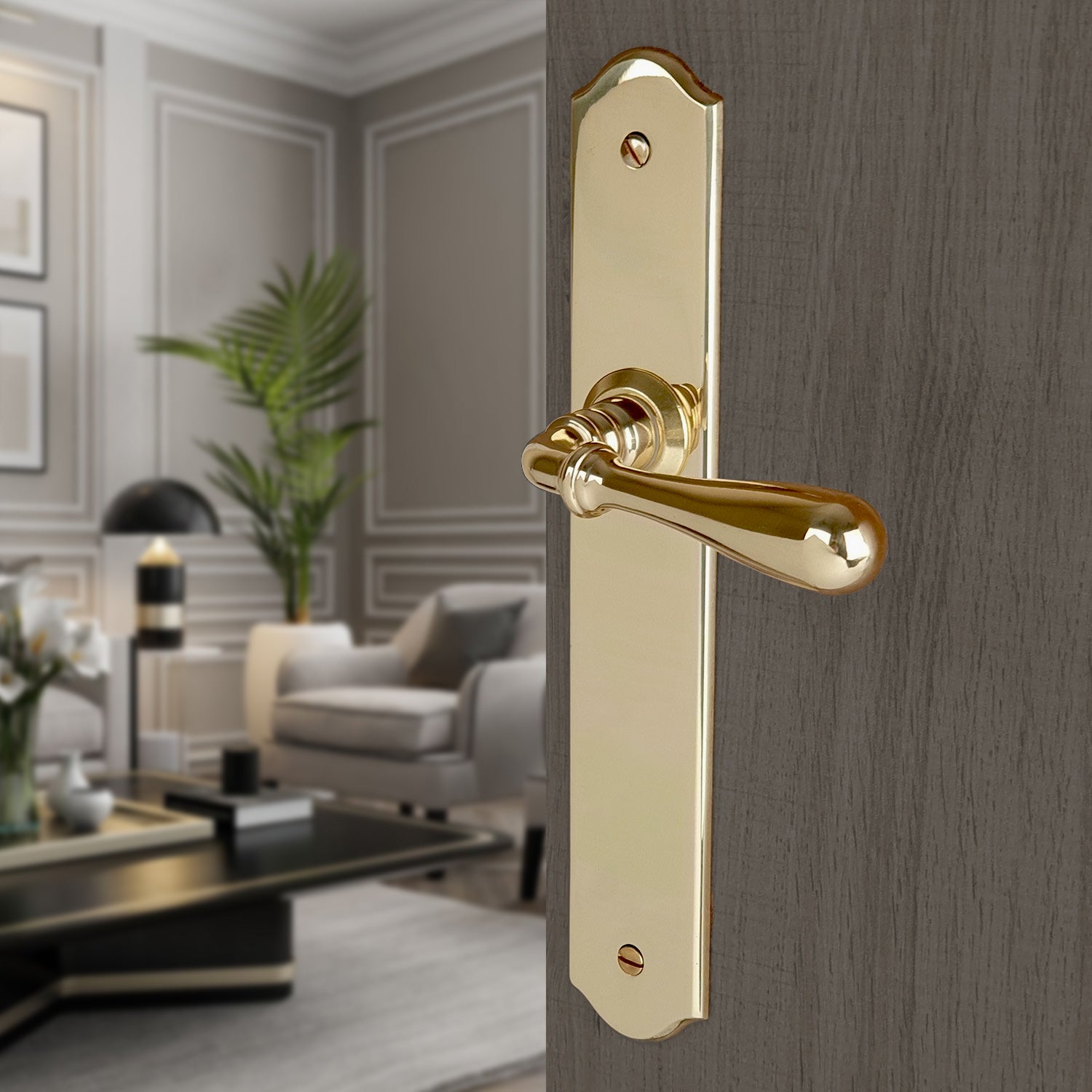 2 poignées de porte DURANCE sans trou, Laiton poli entraxe 195 mm, salon cuisine séjour | Leroy ...