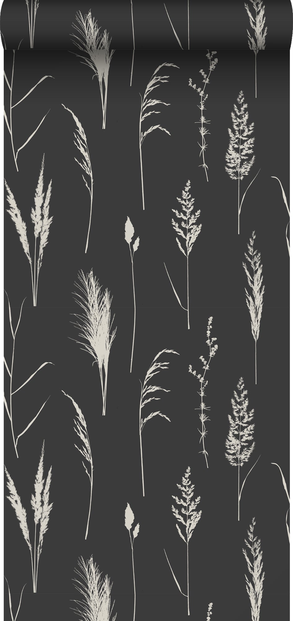 Papier Peint intissé hierba de la pampa gris charbon de bois - 50 x 900 ... Papier Peint intissé hierba de la pampa gris charbon de bois - 50 x 900 ...