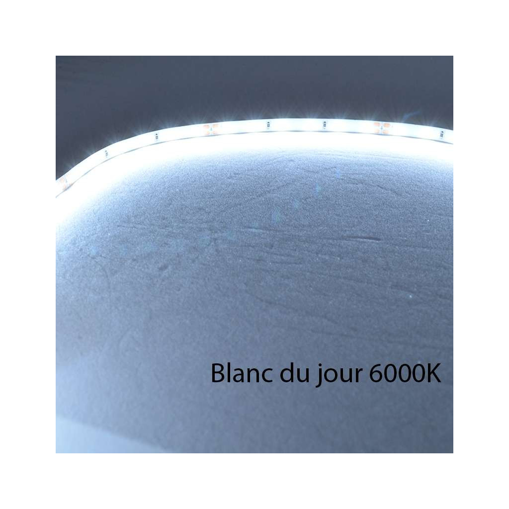 Ruban LED Blanc 60 LED/m 4,8W/m IP20 1m - Blanc du Jour 6000K | Leroy Merlin