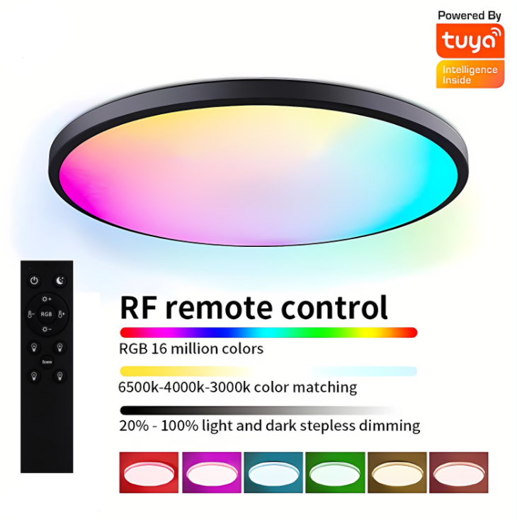 Plafonnier LED RGB 24 W avec télécommande, intensité variable 3 000 K-6 ...