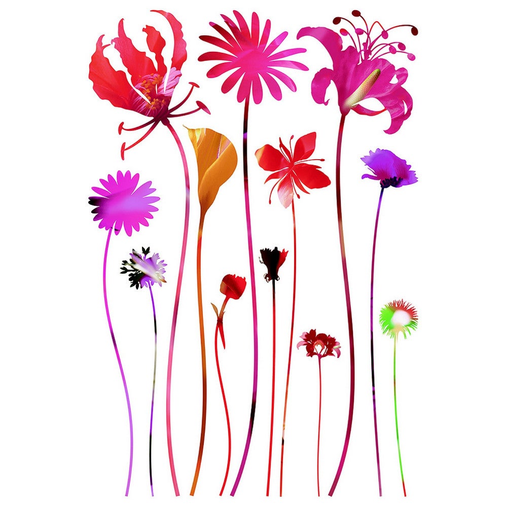 Sticker Fleurs multicolores - 1 planche 42,5 x 65 cm | Leroy Merlin