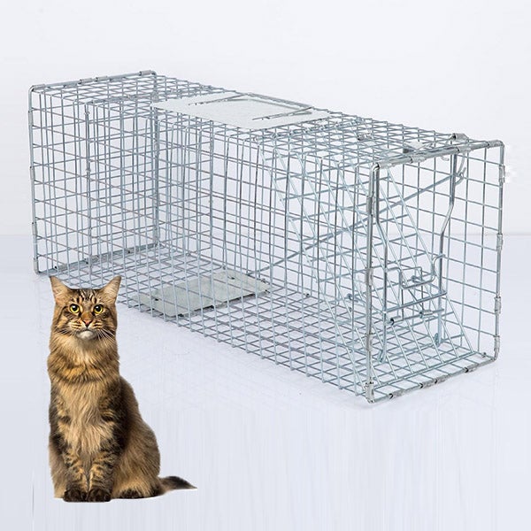 Cage piège vivante sans cruauté, adaptée aux chats errants, ratons ...
