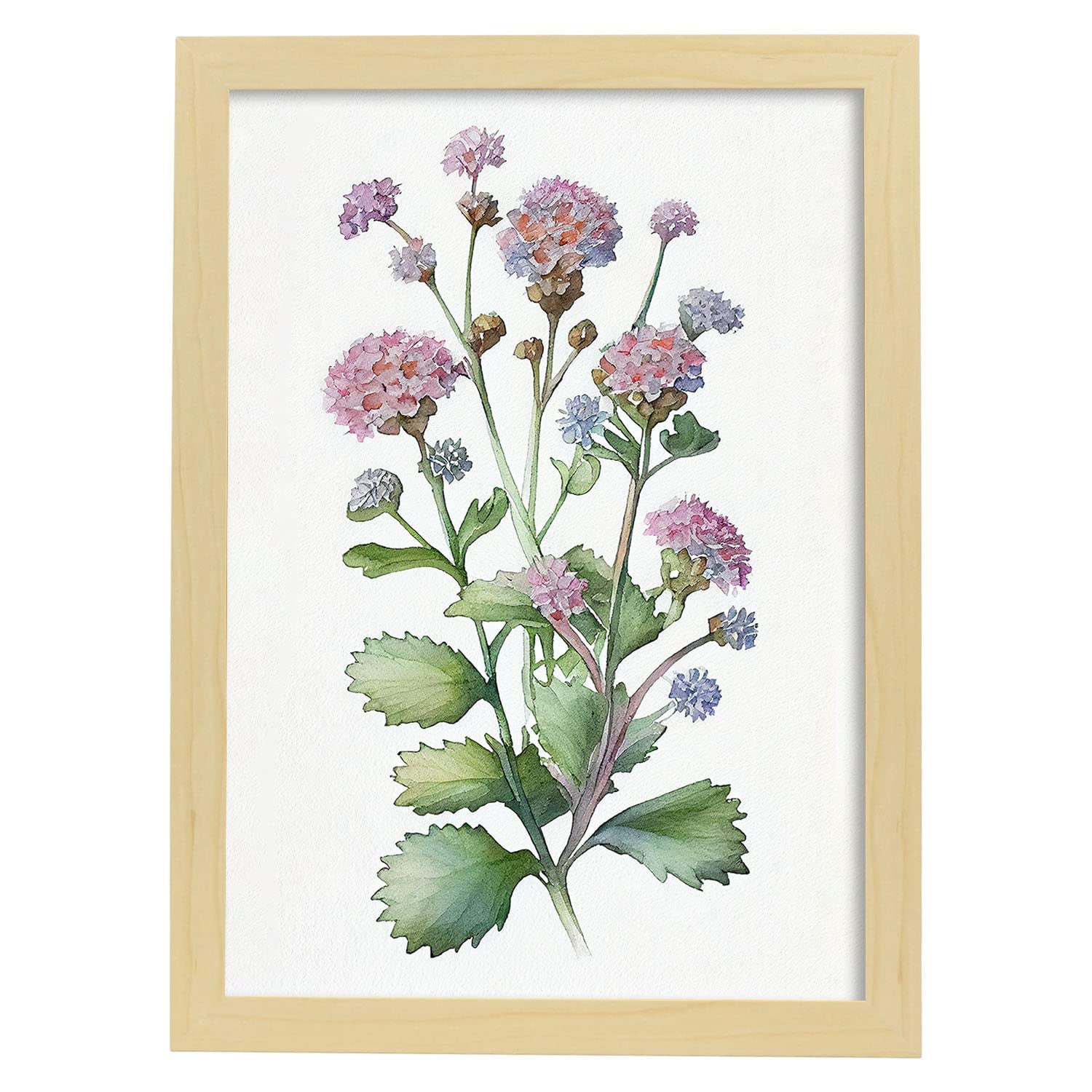 Nacnic Poster De Ageratum Estilo Nórdico Ilustraciones De Botánica Con ...