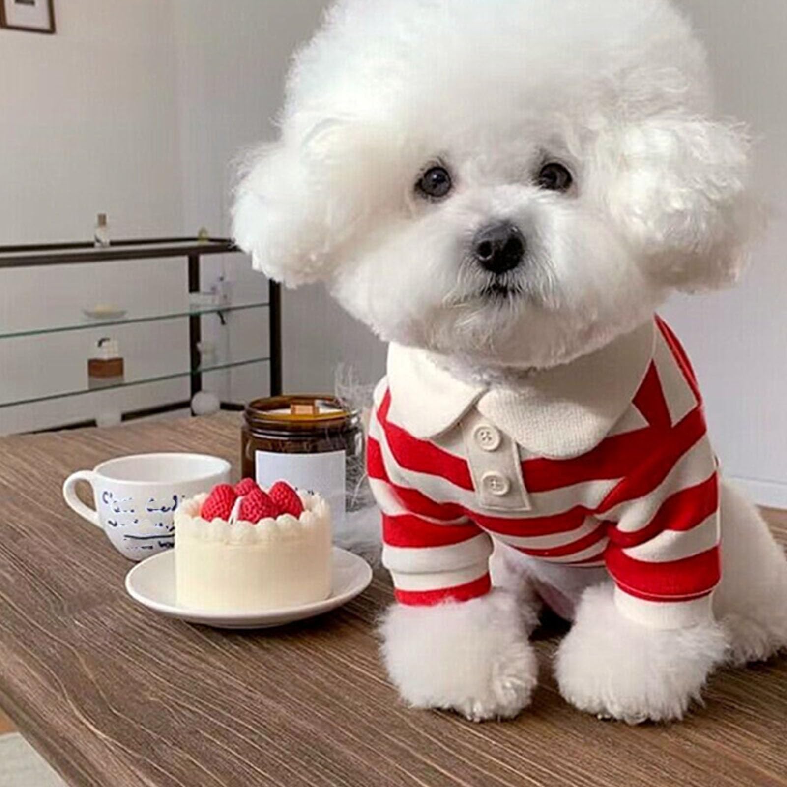 Camisa a rayas para perros, moderna, bonita, transpirable, cómoda, fina ...