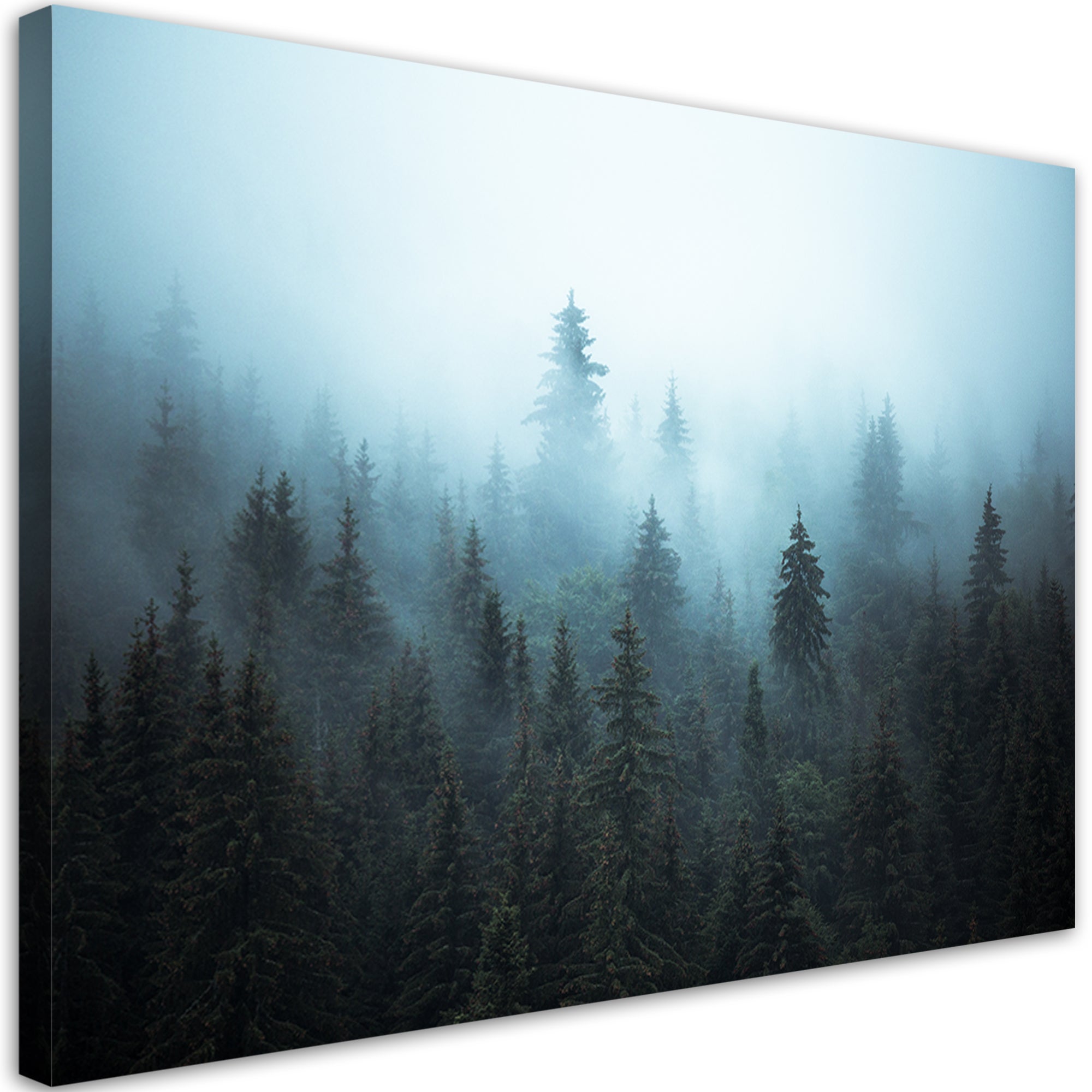 Tableau sur toile Forêt dans le brouillard 60x40 | Leroy Merlin