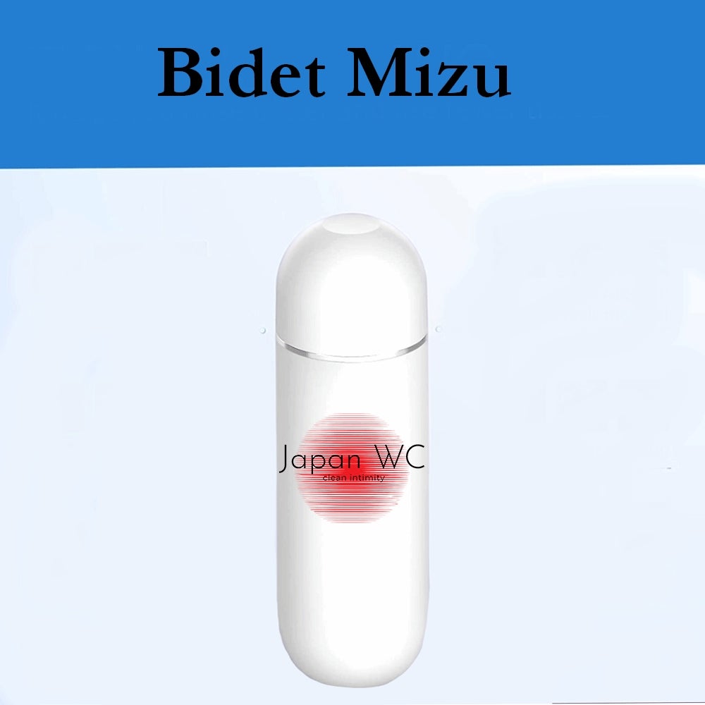 Bidet portable Mizu | Leroy Merlin