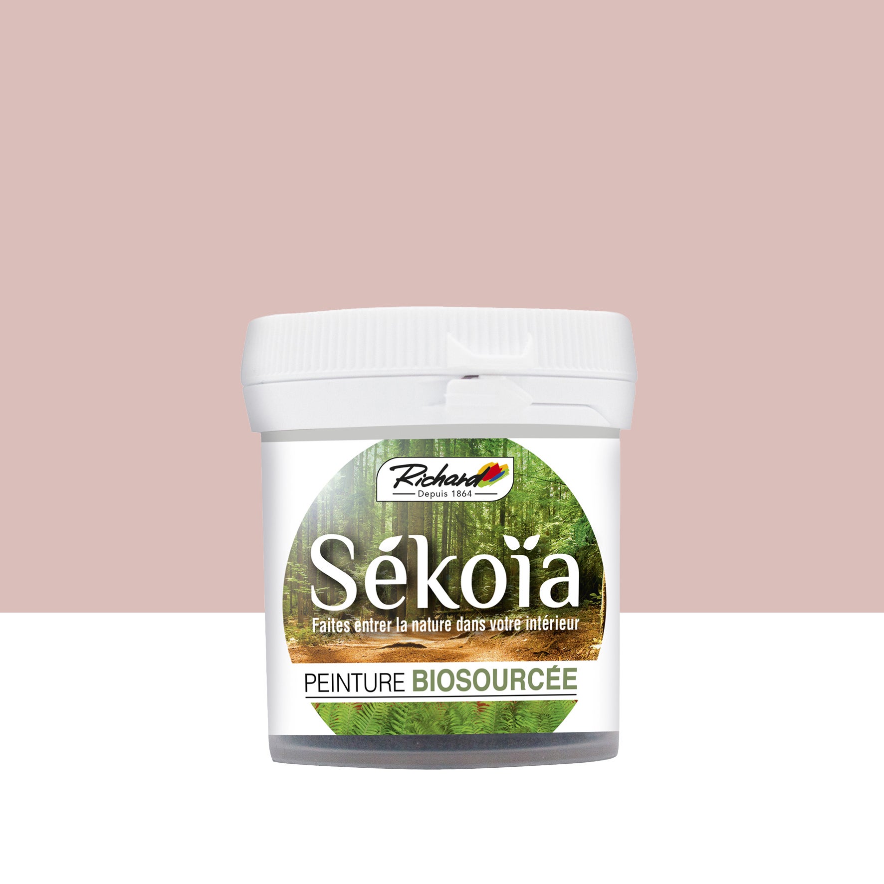 Peinture Vieux Rose 308- Sékoïa Biosourcée Velours - Testeur 50 ml ...