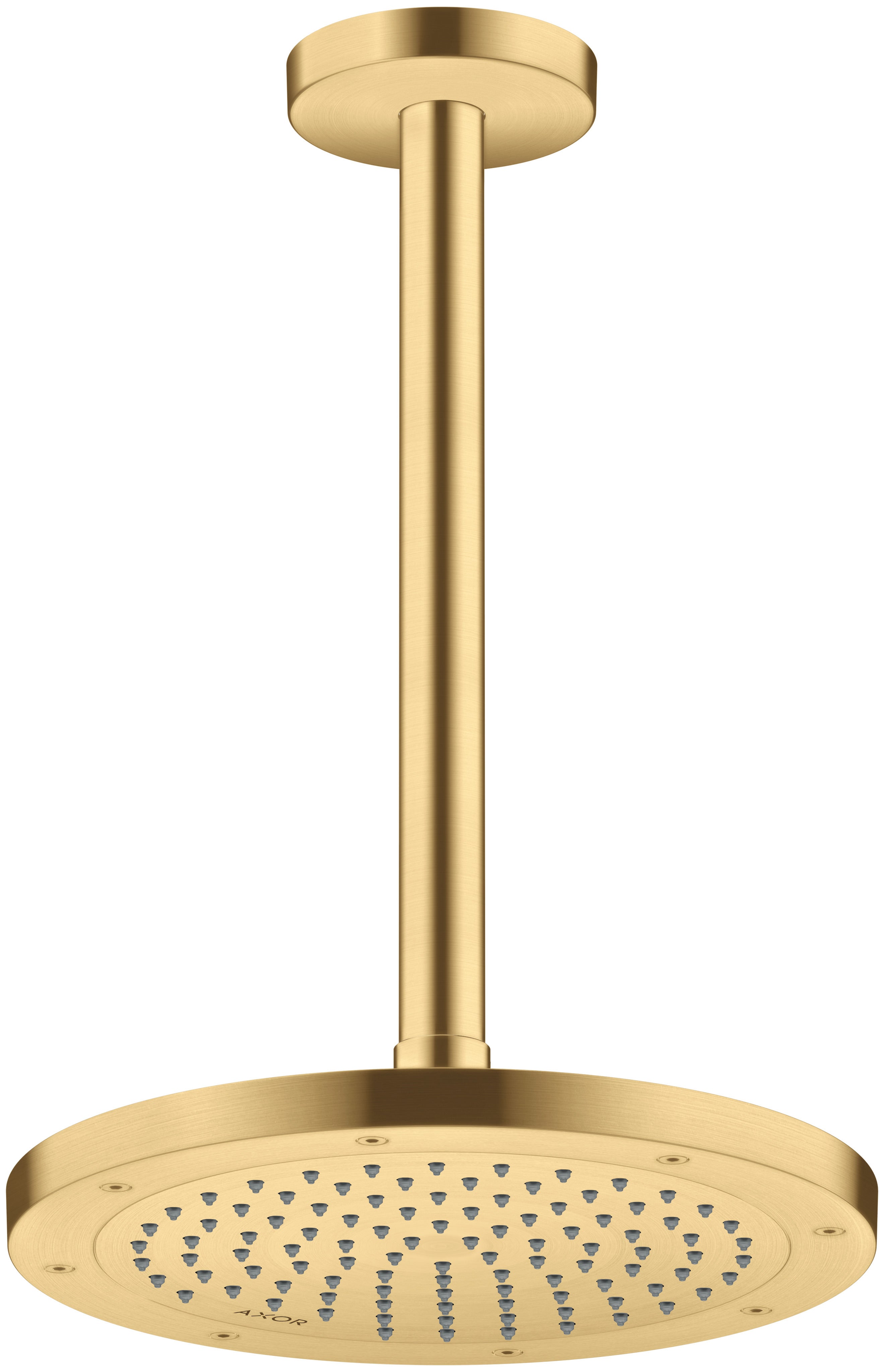 Hansgrohe AXOR ShowerSolutions alcachofa de ducha 245 1 rociador tipo ...
