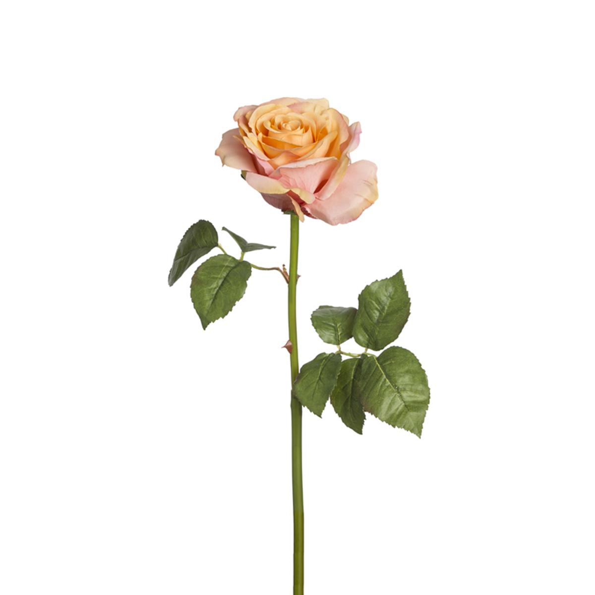 Rose SARAH | Leroy Merlin