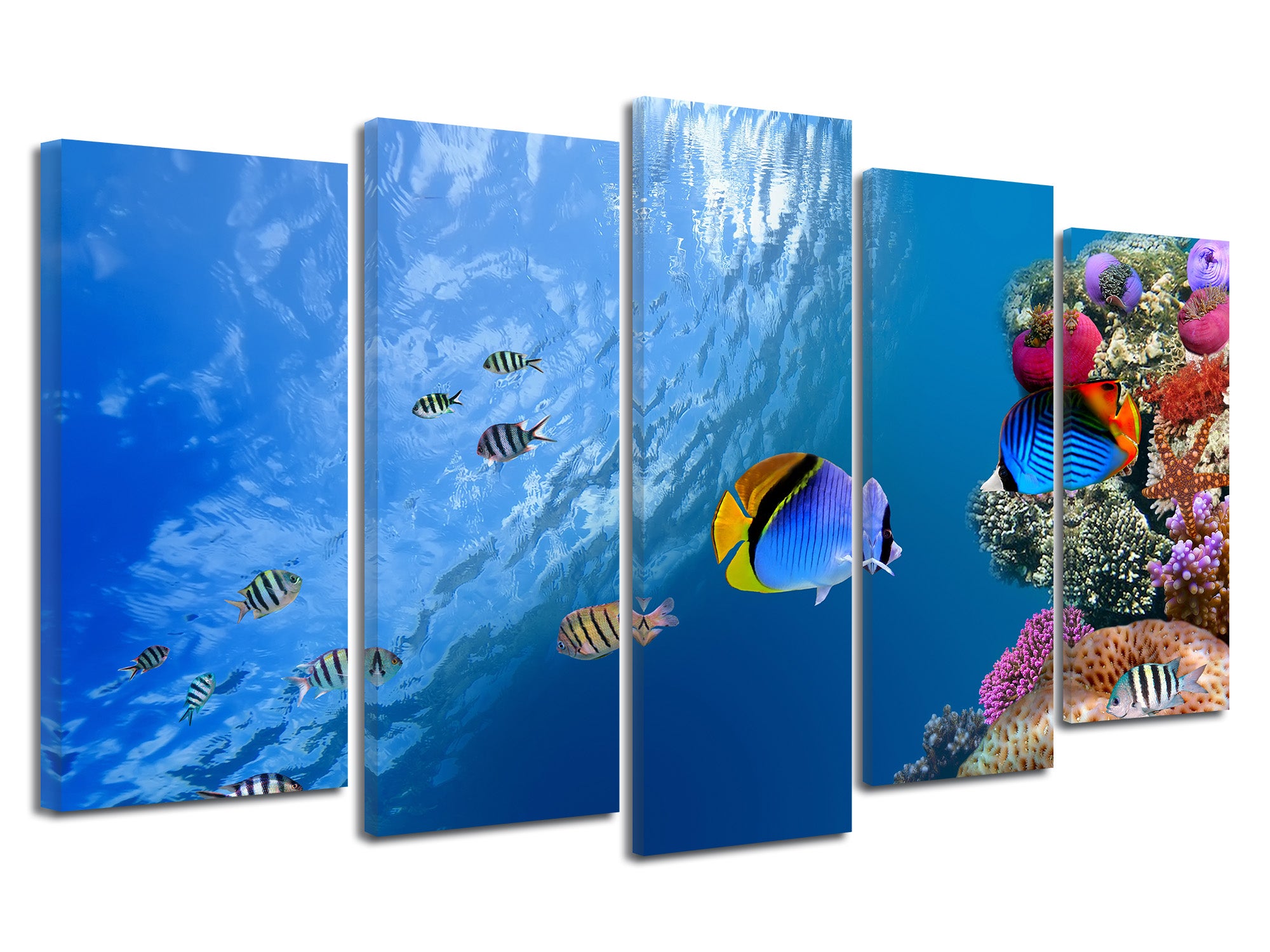 DECLINA, Tableau toile imprimée, animaux, Tableau toile décorative ...