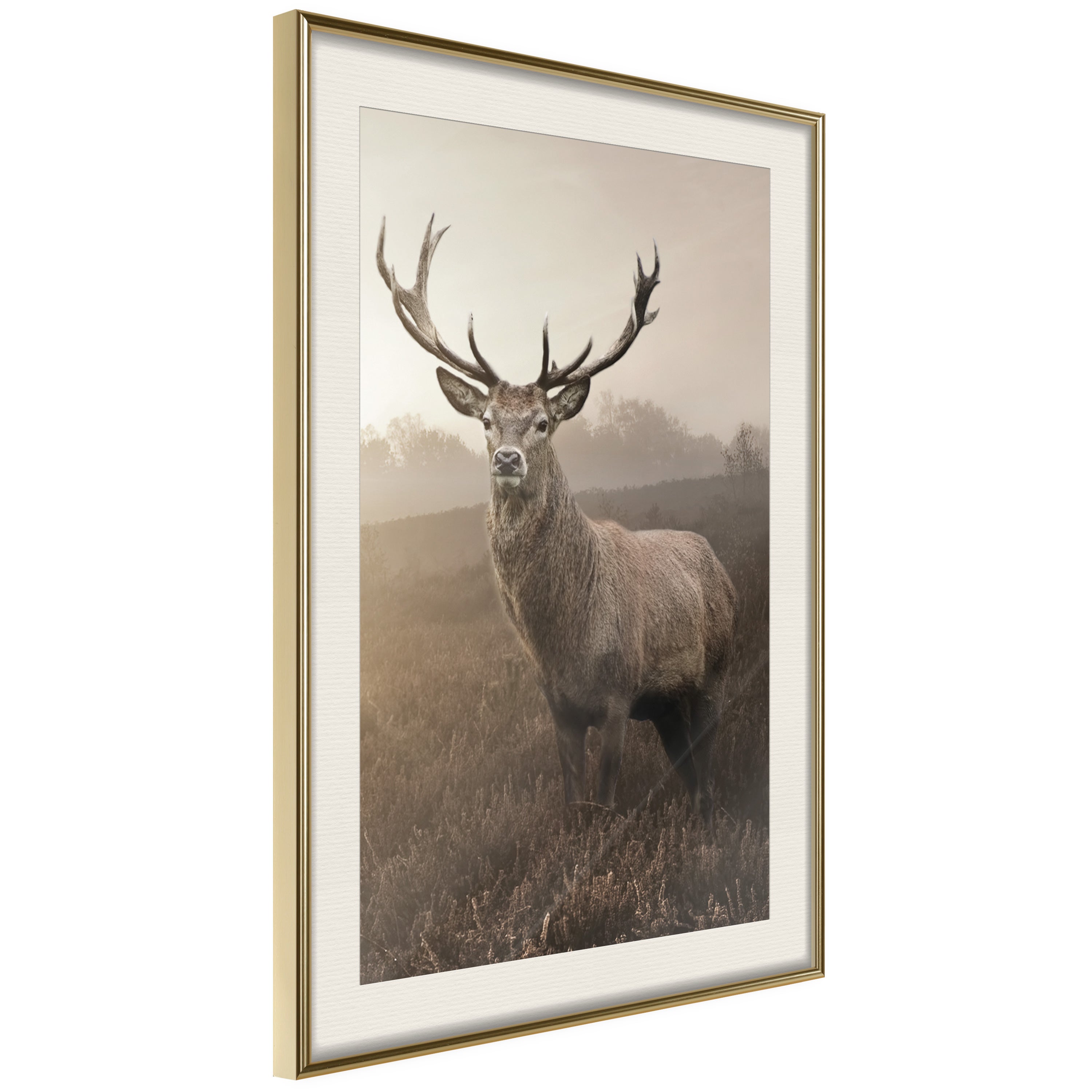 Poster et affiche - Representation of Dignity 20x30 cm | Leroy Merlin