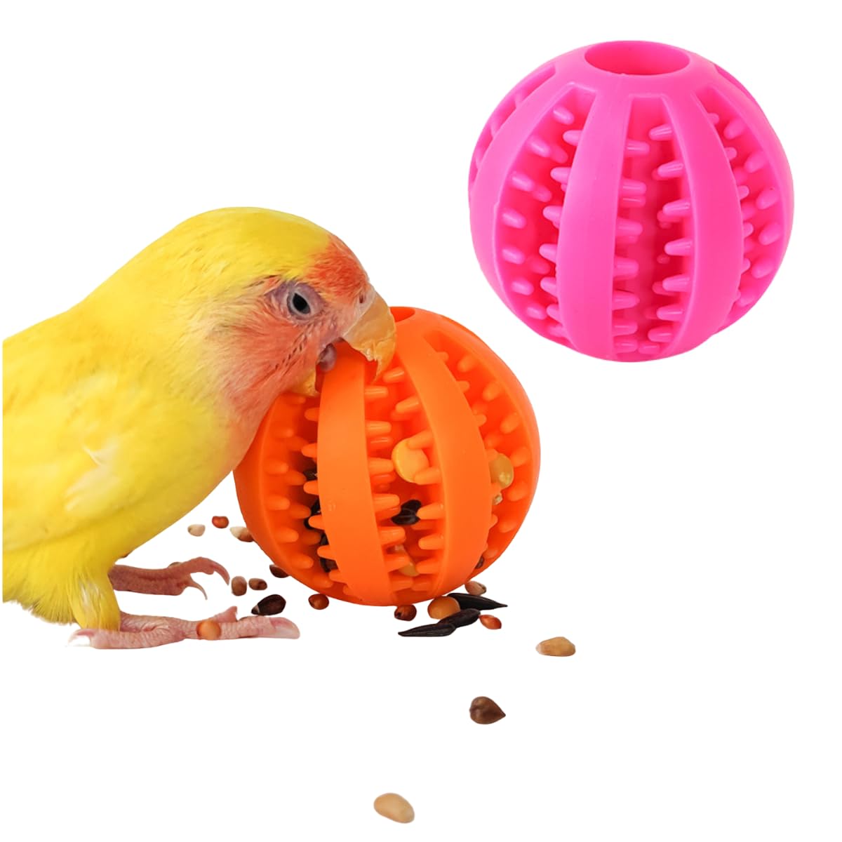 2 pz pappagallo Foraging Ball interattivo accessorio Puzzles, piccolo ...
