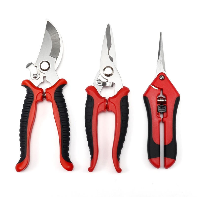 Sécateurs en Acier Inoxydable x3 – Pour Jardin, Verger, Branches ...